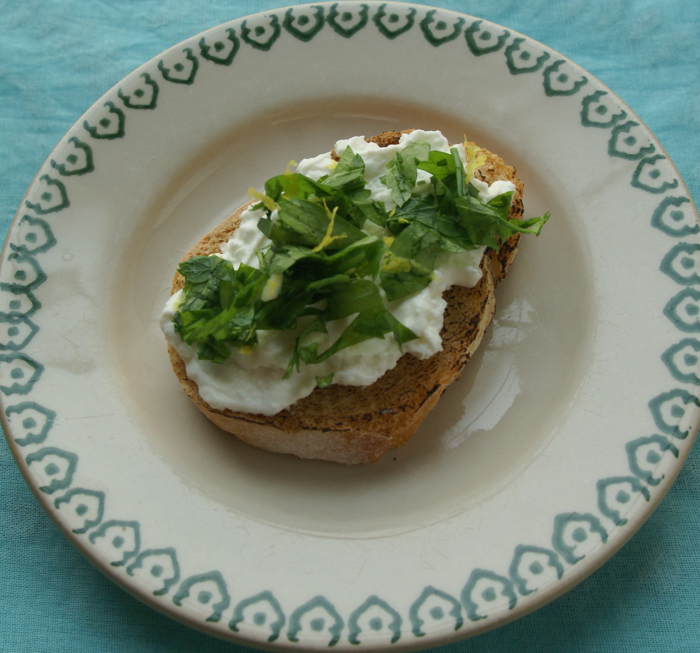 the lemon tree – Food and Tools